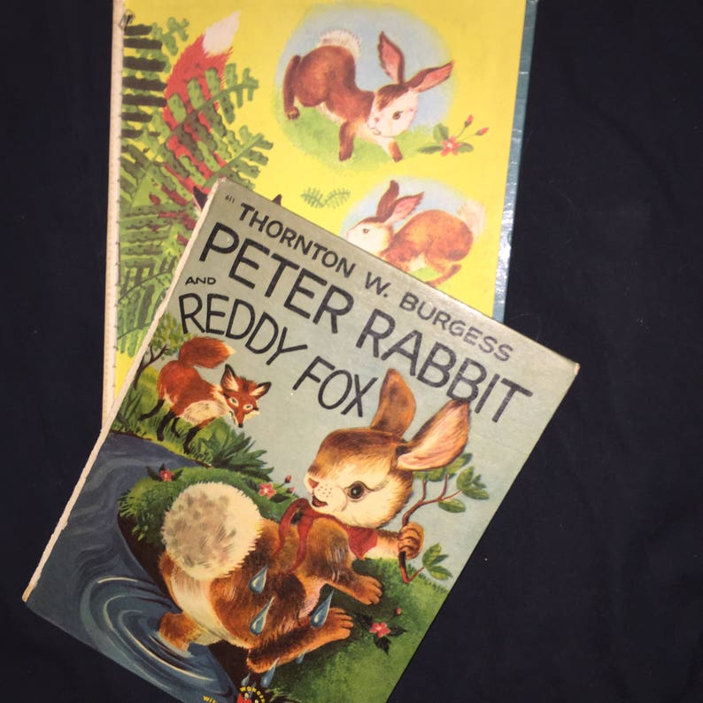 1954 Peter Rabbit and Reddy Fox Book - Etsy