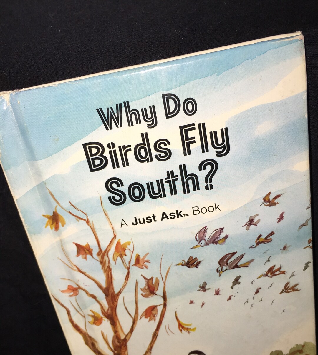 1986 Why Do Birds Fly South - Etsy