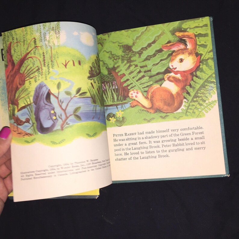 1954 Peter Rabbit and Reddy Fox Book - Etsy