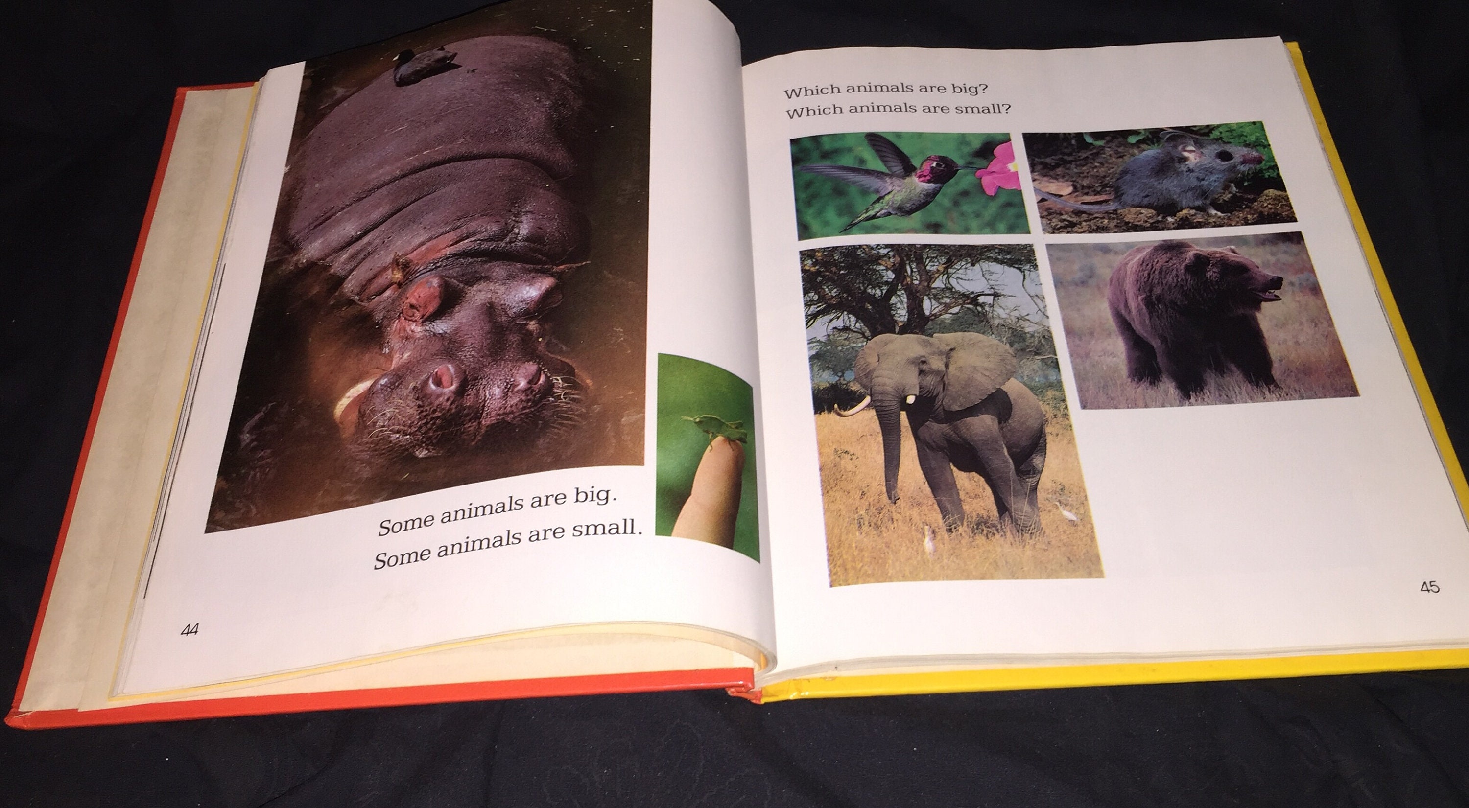 1985 Silver Burdett Science Book | Etsy