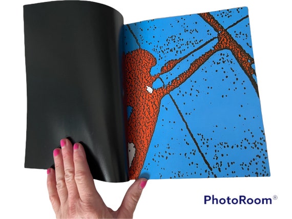 Zoom Book Istvan Banyai