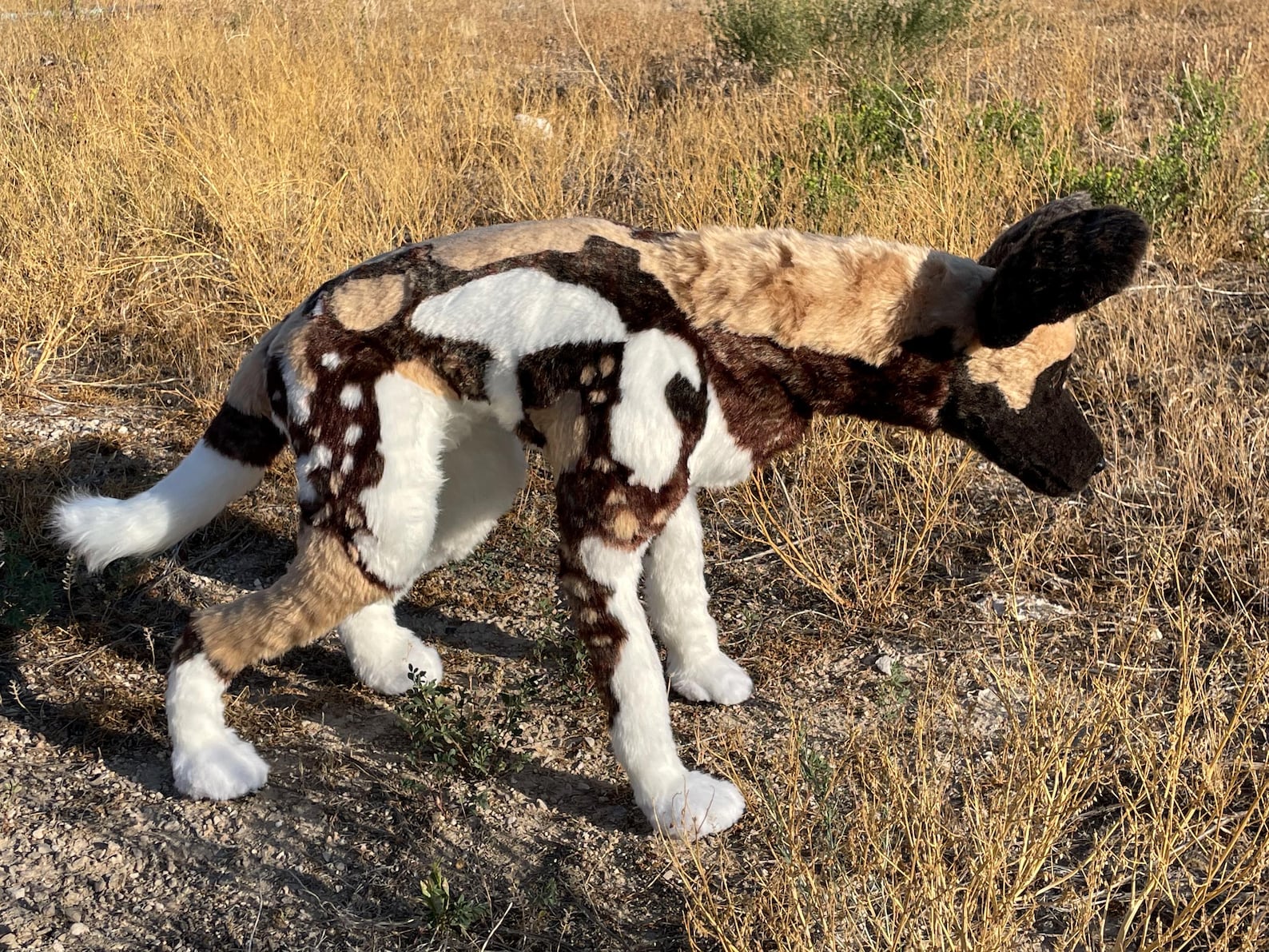 Life Sized African Wild Dog - Etsy