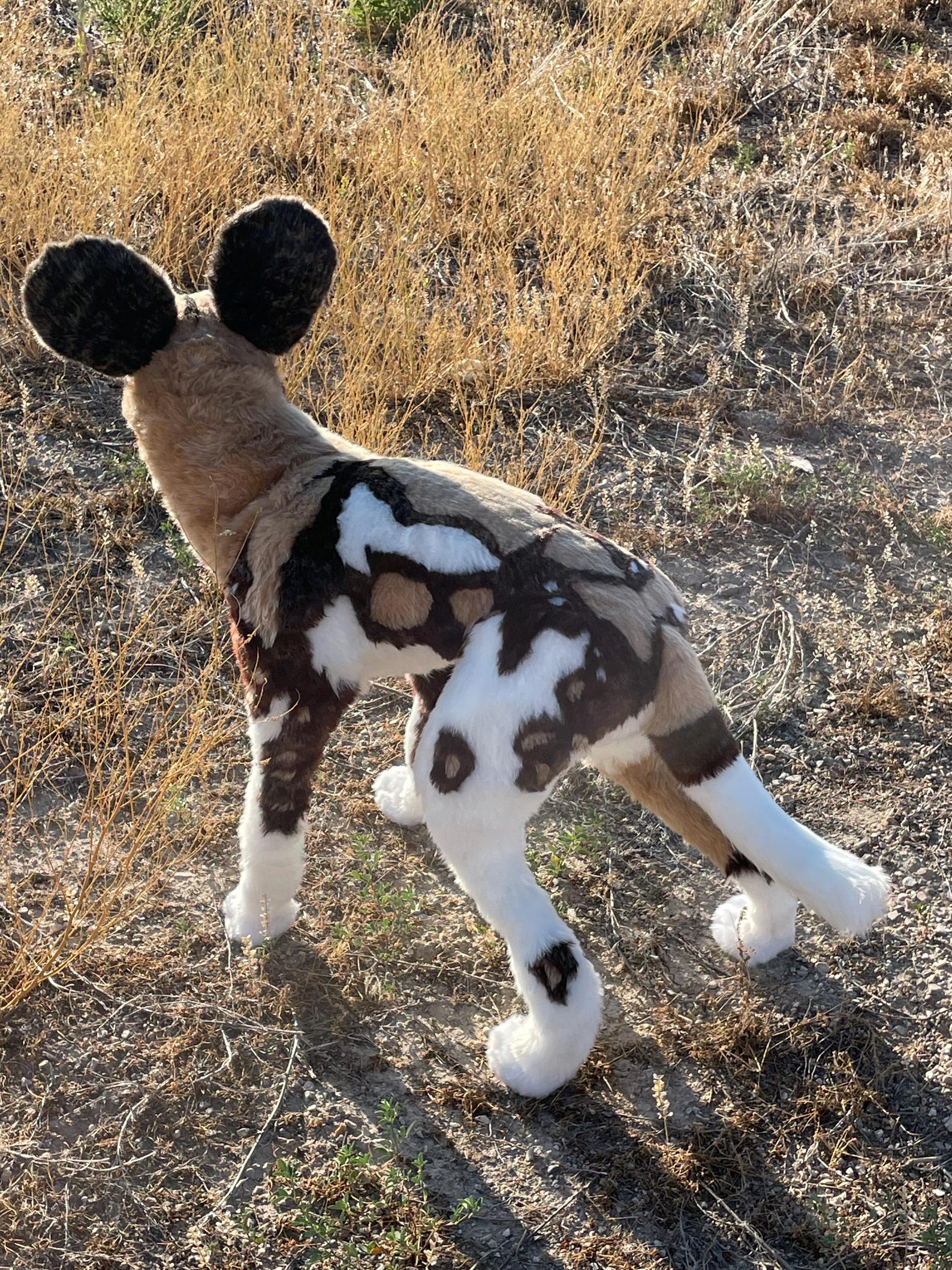 Life Sized African Wild Dog - Etsy