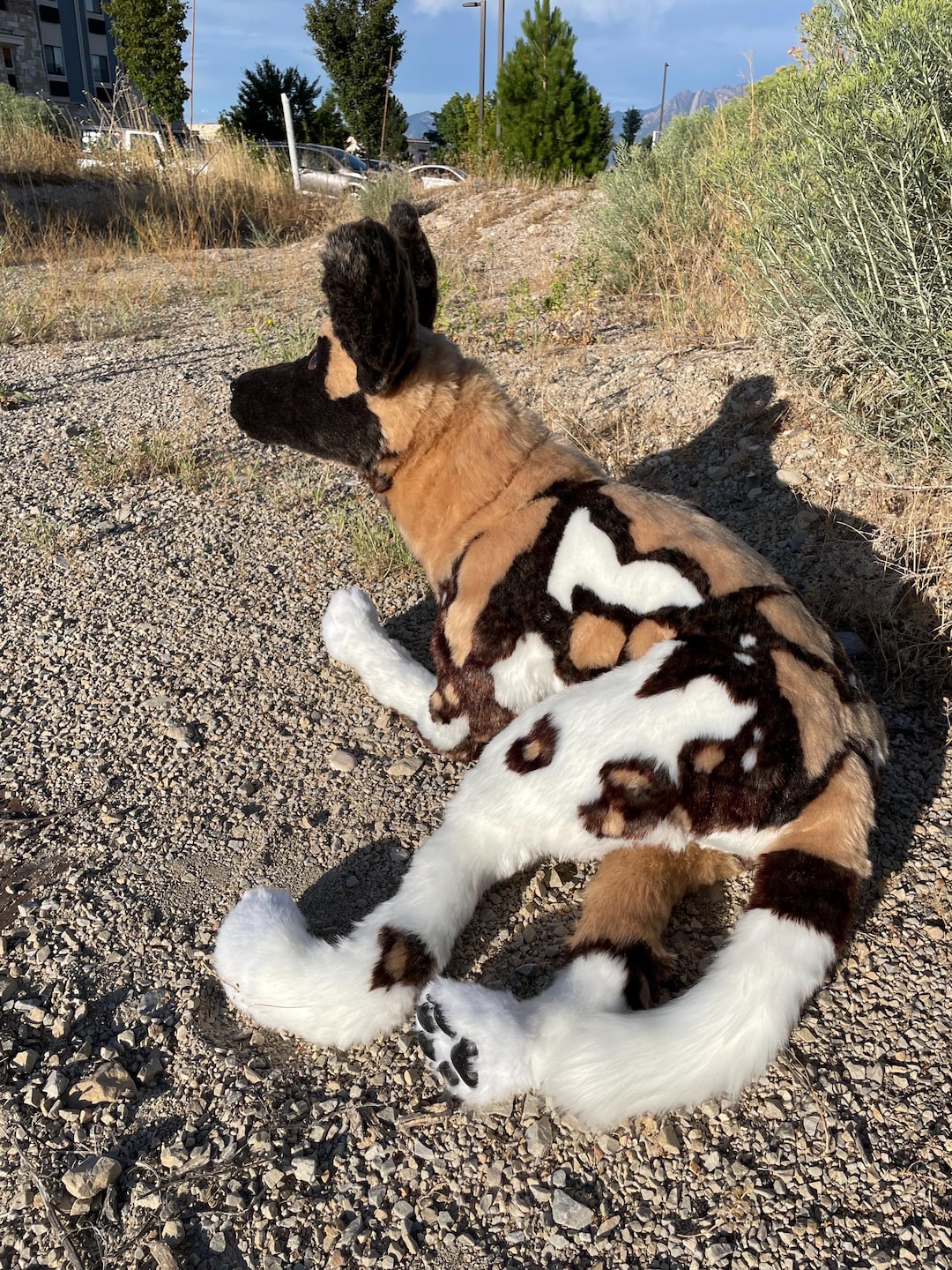 Life Sized African Wild Dog - Etsy