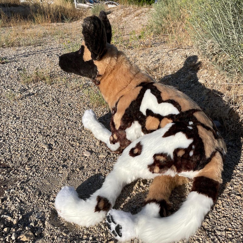 Douglas Dog - Etsy Australia