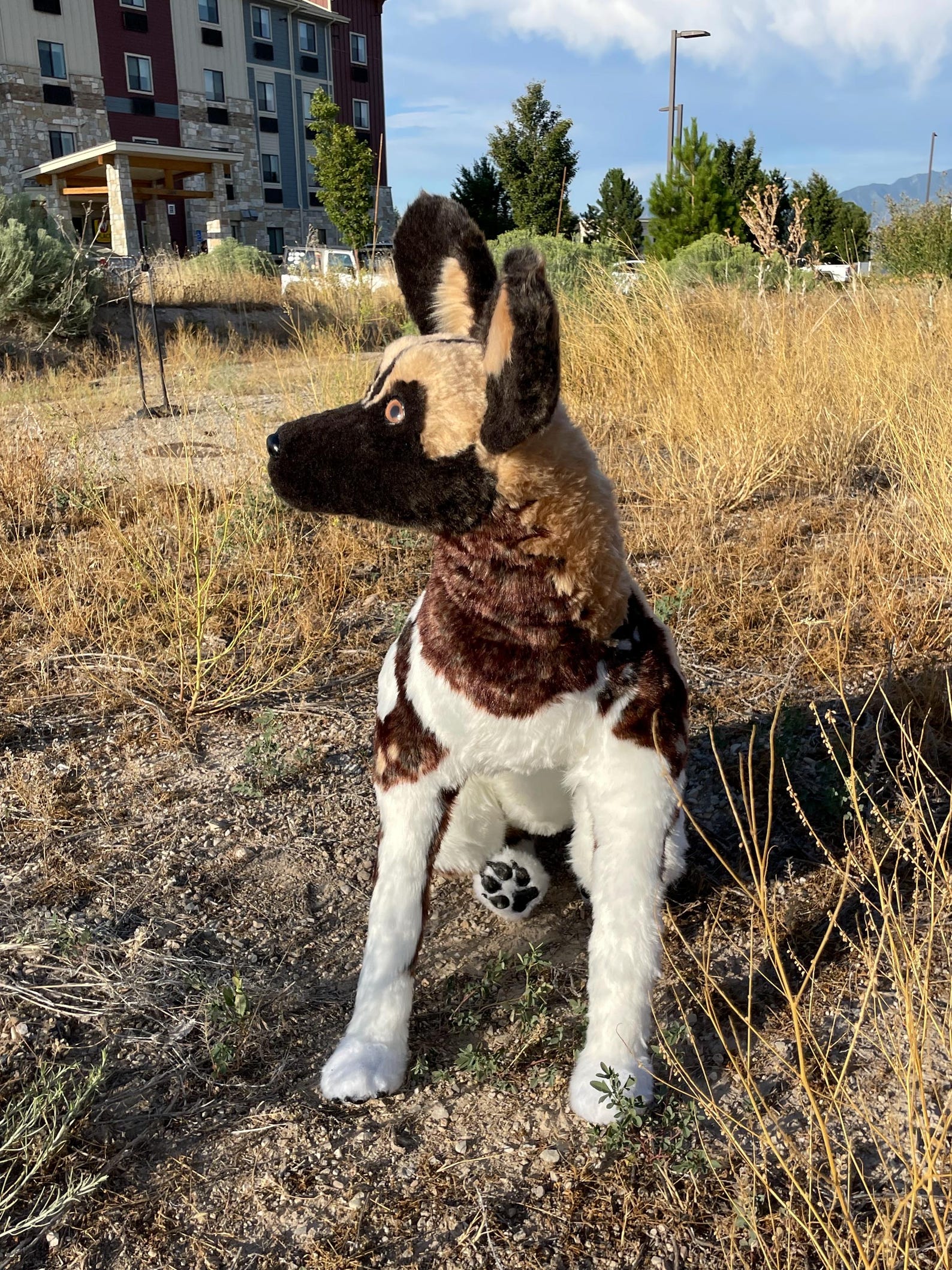 Life Sized African Wild Dog - Etsy