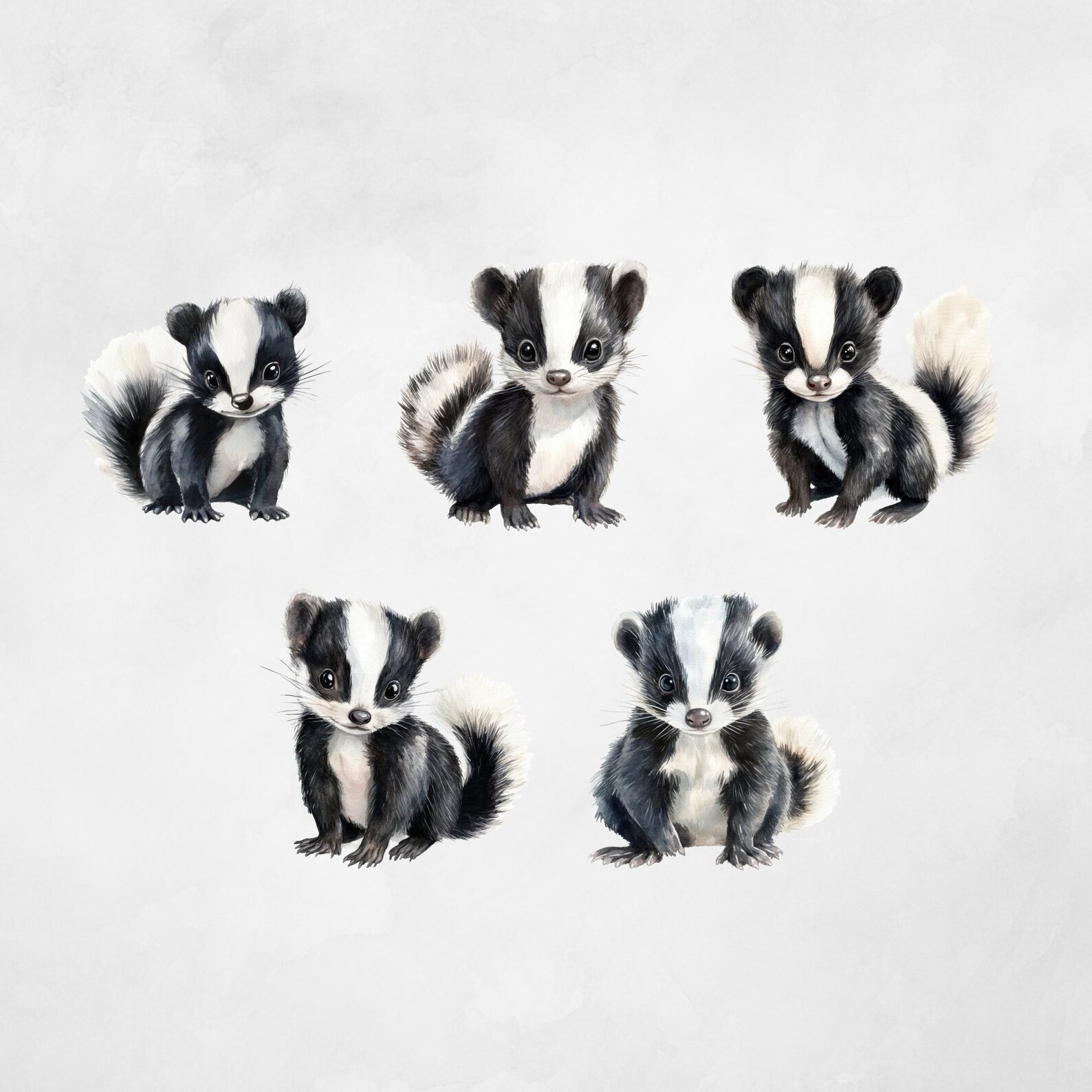 Skunk Clipart, Baby Skunk, Skunk Raccoon, Cute Skunk, Watercolor ...