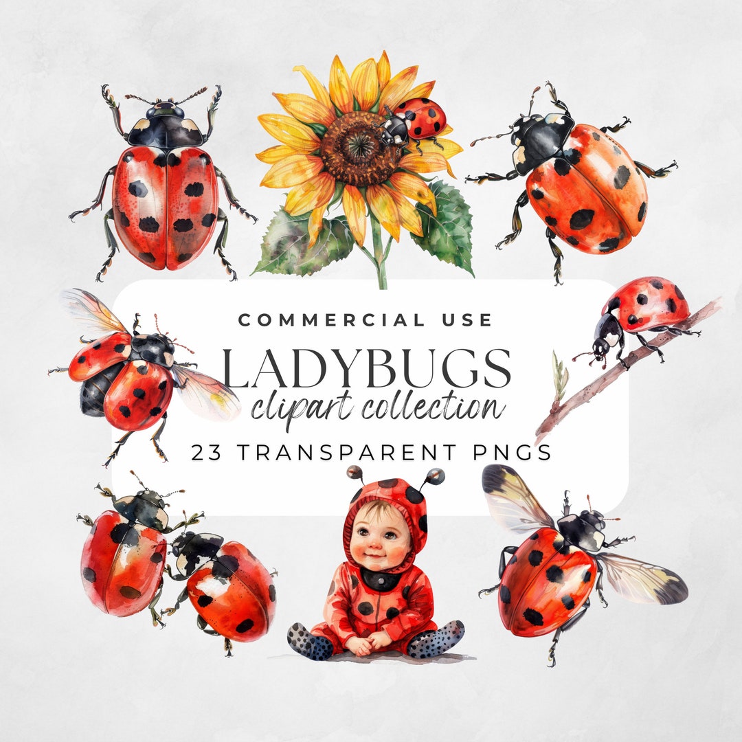 Watercolor Ladybugs, Insect Clipart, Cute Ladybug Clipart, Love Bug ...