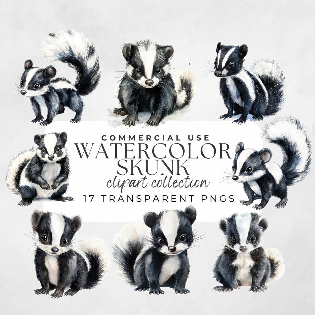 Skunk Clipart, Baby Skunk, Skunk Raccoon, Cute Skunk, Watercolor ...