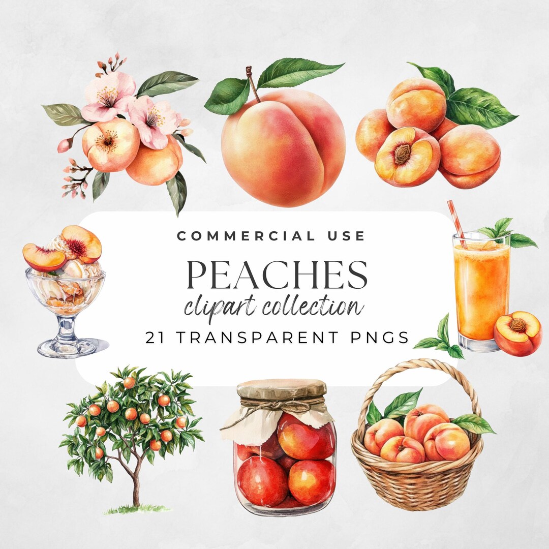 Watercolor Peach, Watercolor Clipart, Watercolor Florals, Illustration ...