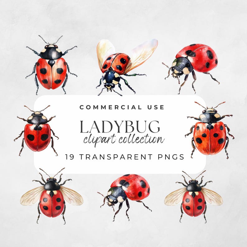 Watercolor Ladybug Clipart, Lady Bug Clipart, Cute Bugs Clipart, Love ...