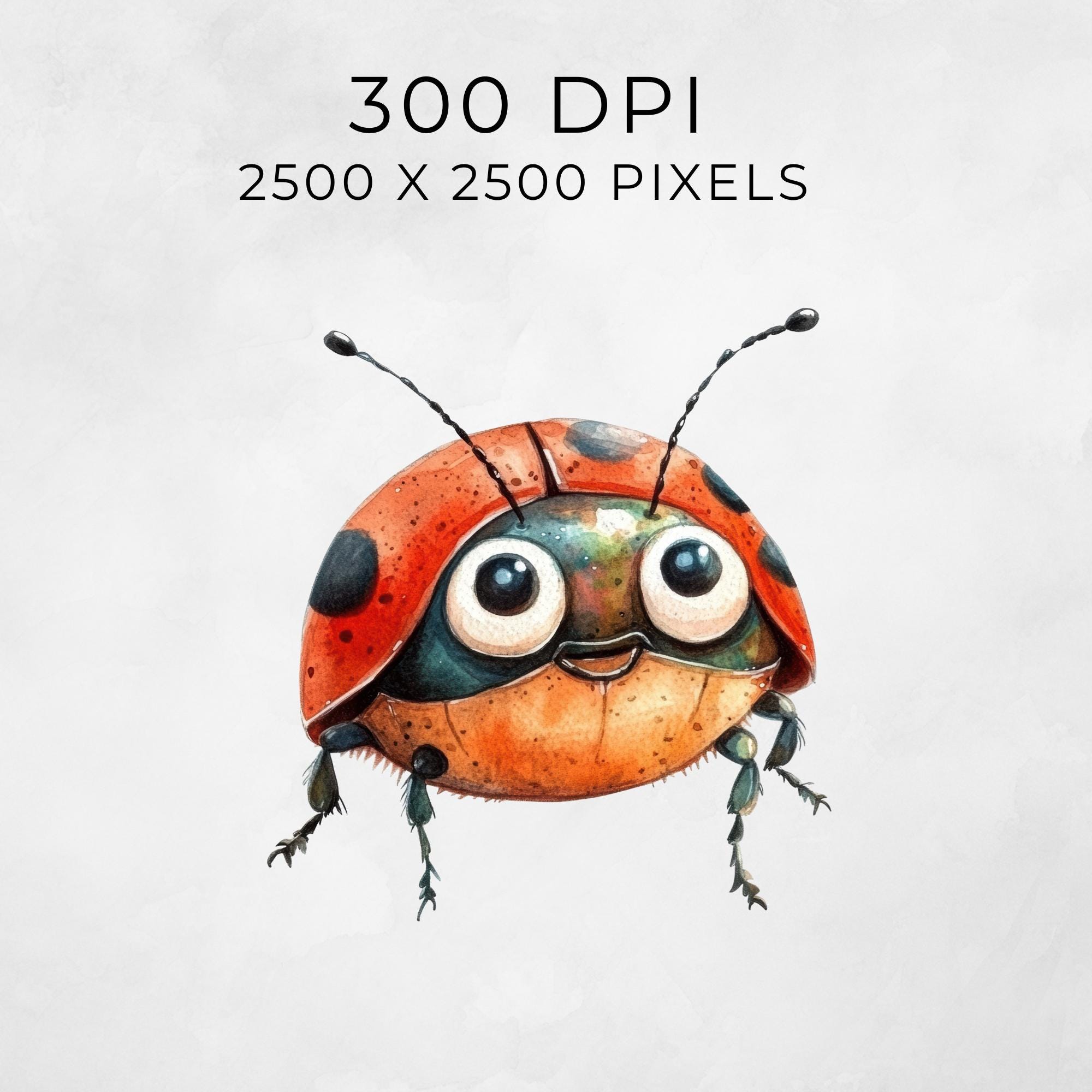 Quirky Bug Clipart Funny Insects Quirky Insects Cute Insect Clipart ...