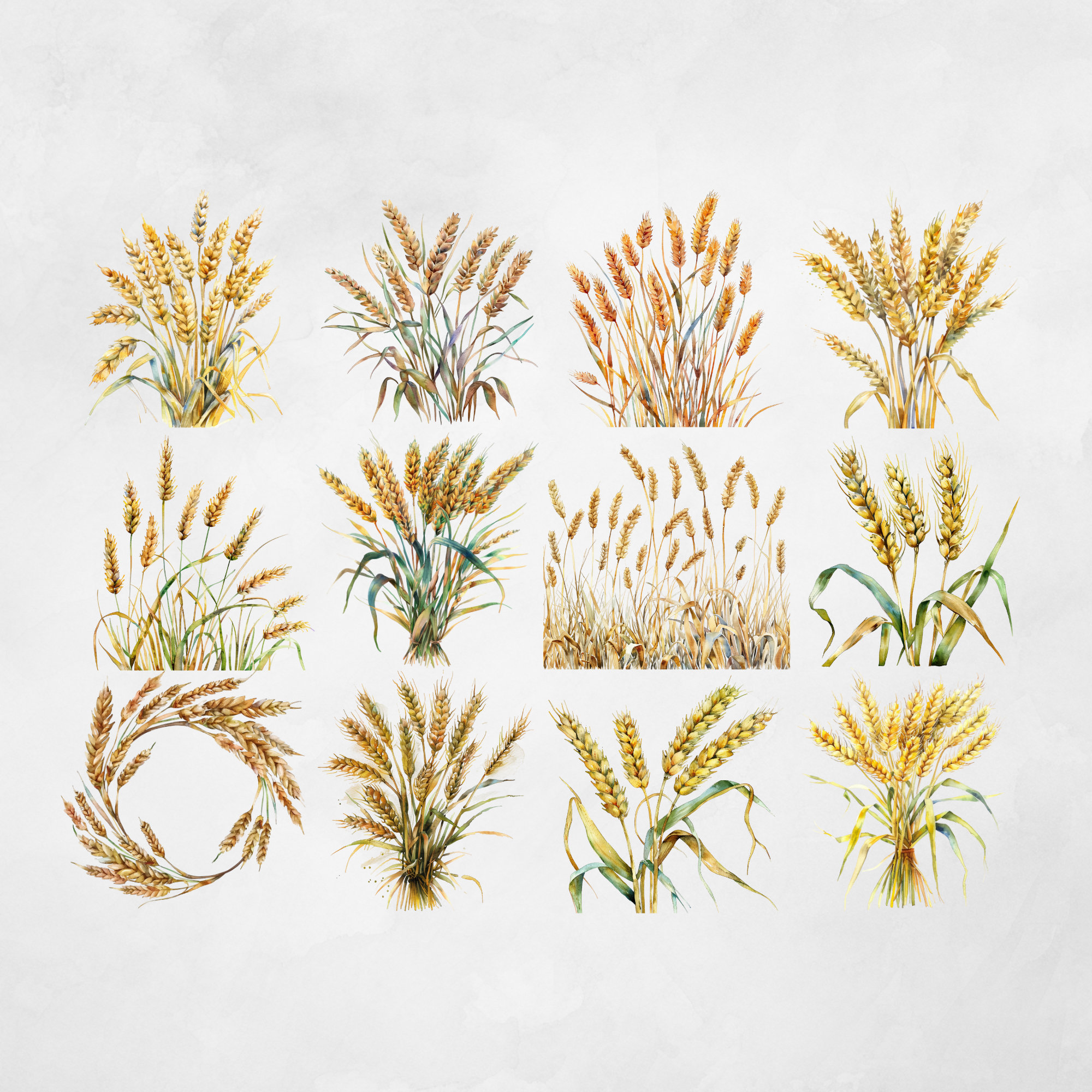 Wheat Field Png, Wheat Field Clipart, Watercolor Wheat, Wheat Graphics ...