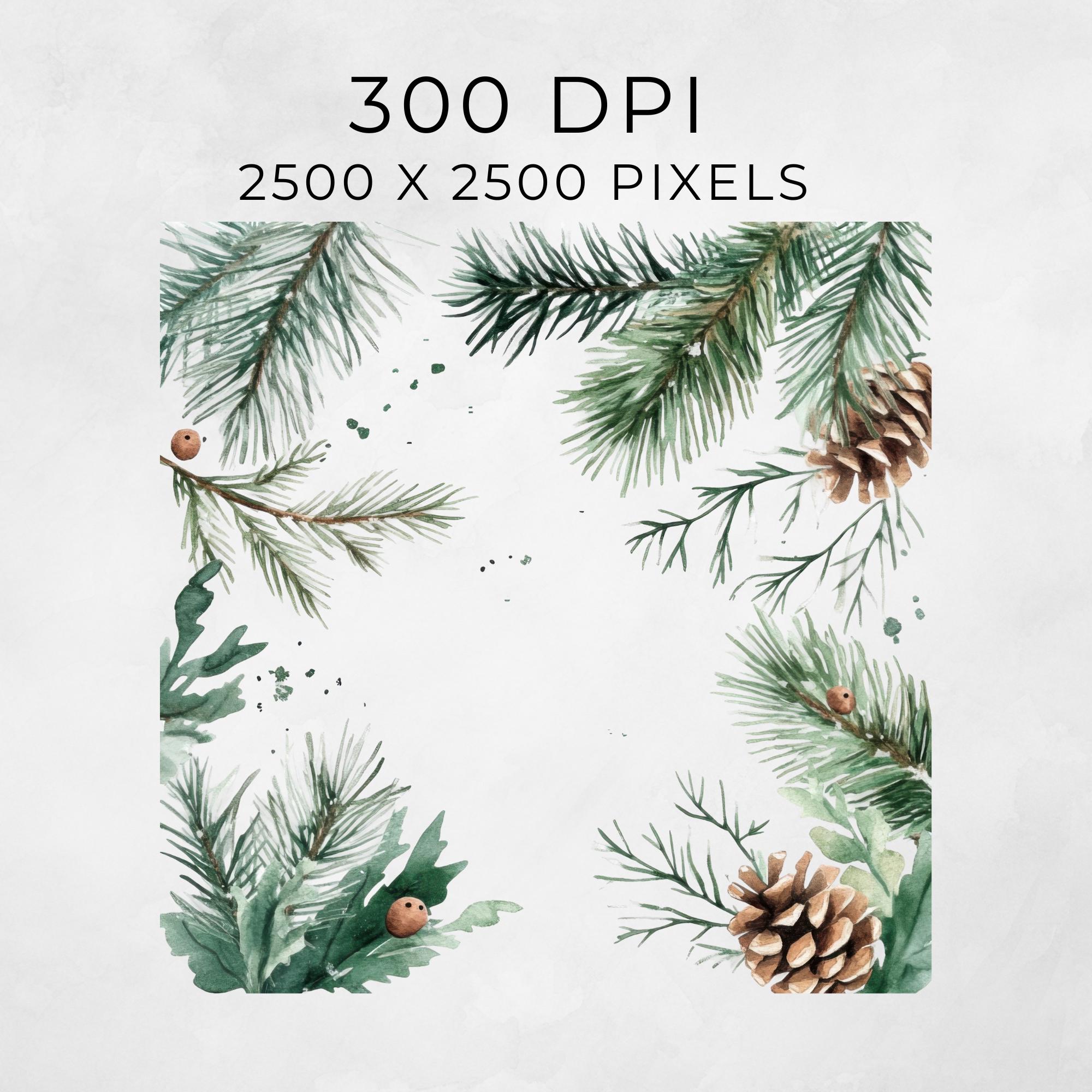 Winter Greenery Christmas Greenery Greenery Clipart Watercolor Wreath ...