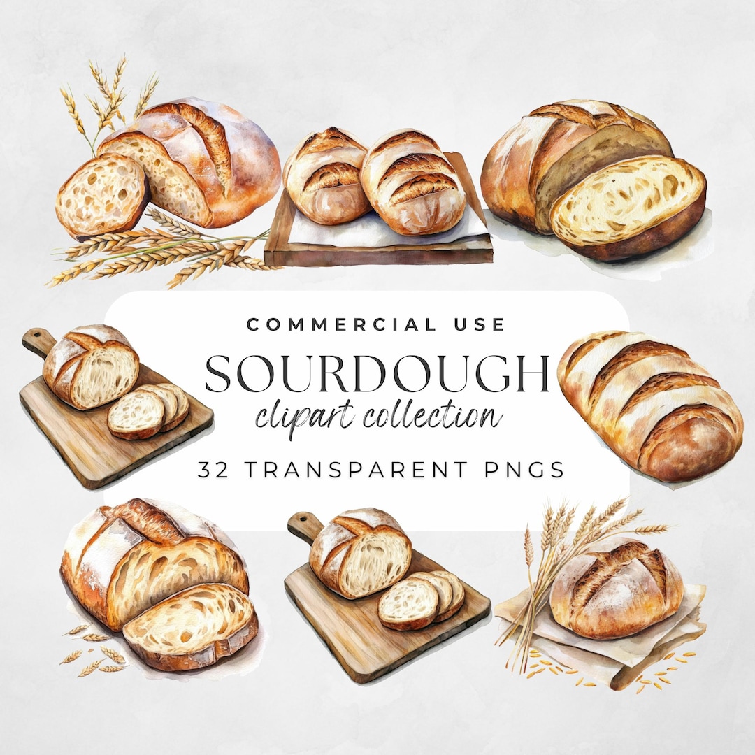 Sourdough Clipart, Sourdough Starter, Watercolor Sourdough, Sourdough ...