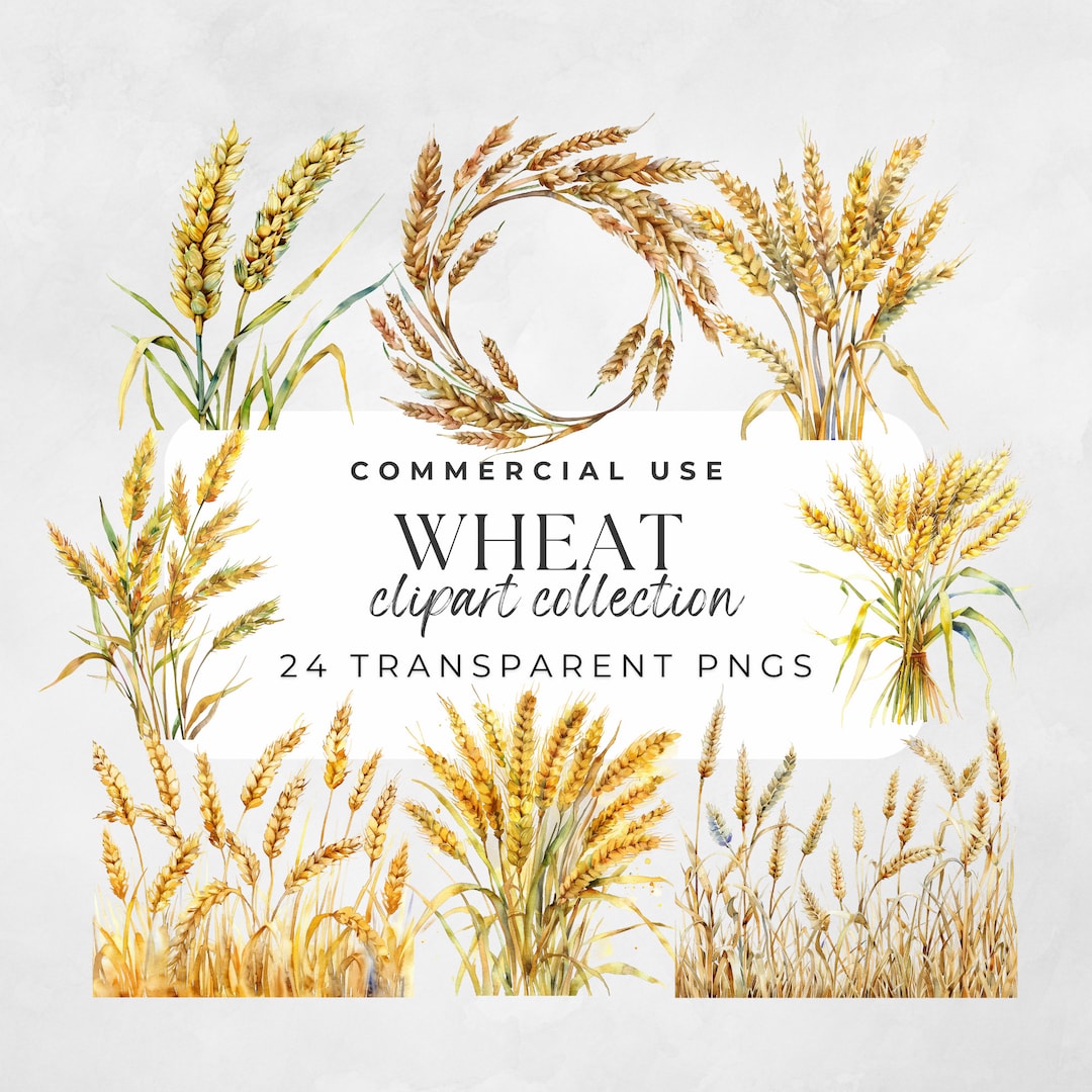 Wheat Field Png, Wheat Field Clipart, Watercolor Wheat, Wheat Graphics ...