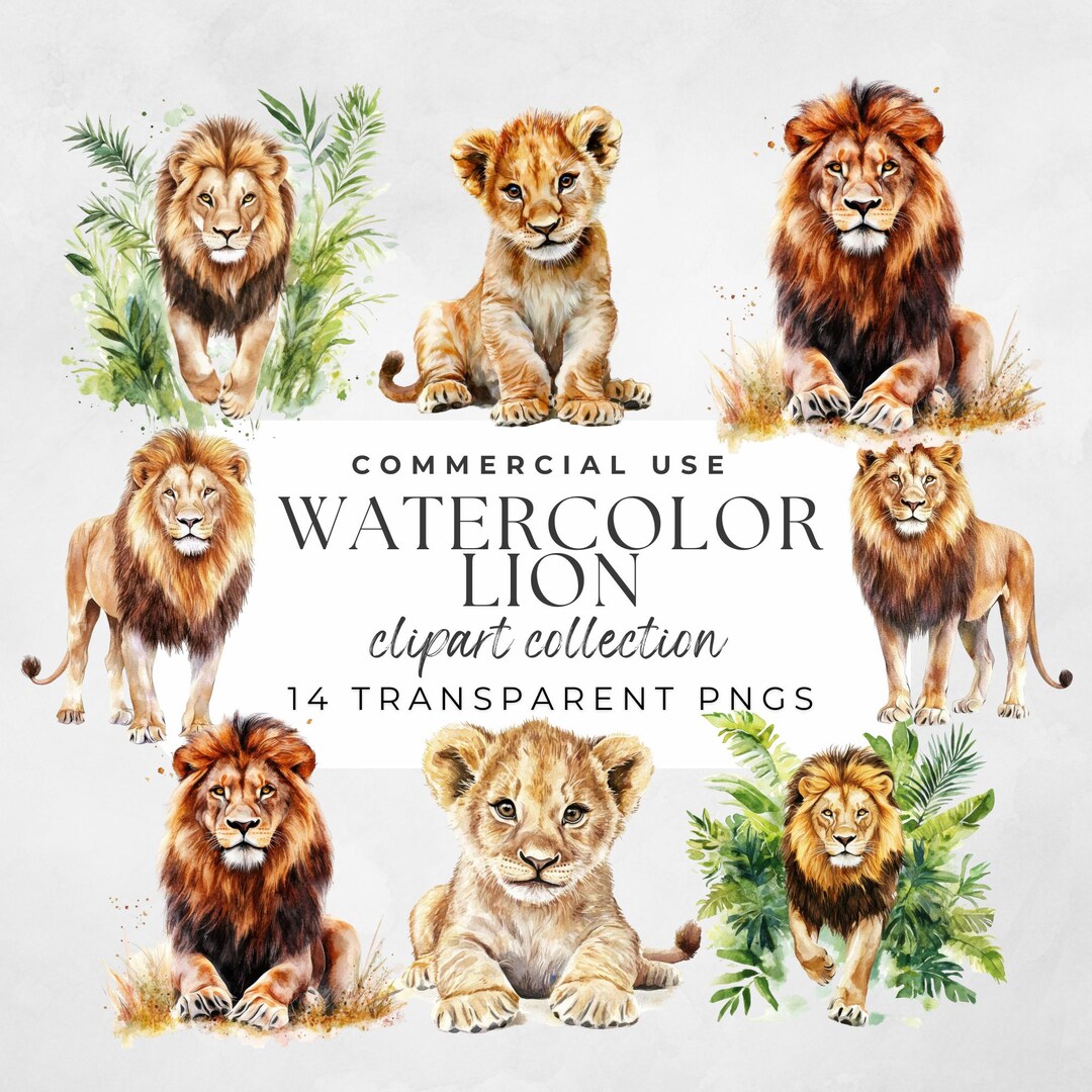 Watercolor Lion Clipart Baby Lion Clipart Digital Clipart Clipart ...