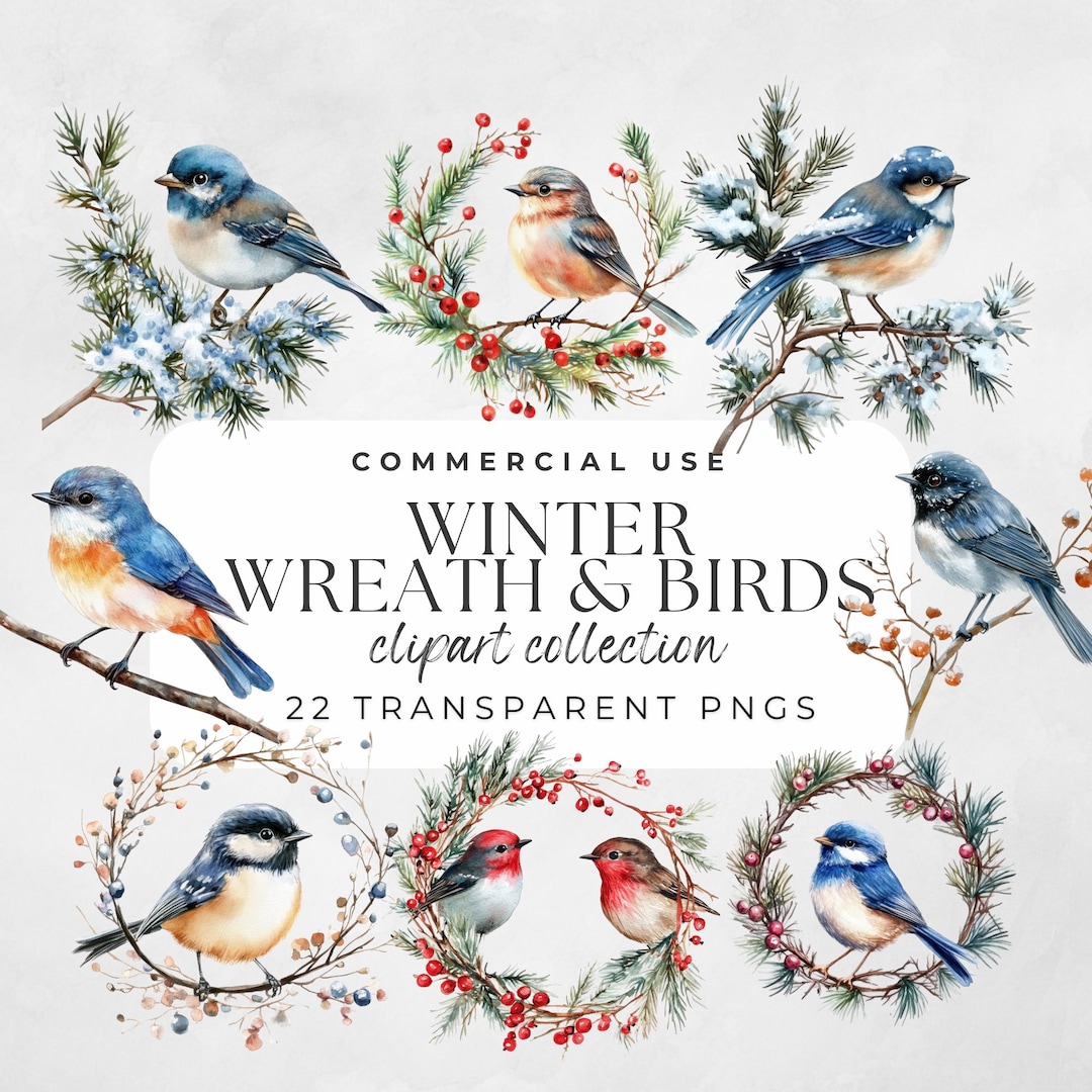 Winter Bird Clipart, Watercolor Birds, Christmas Clipart, Wreath ...