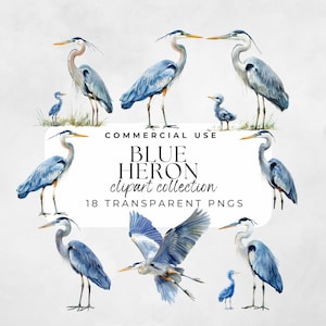 Great Blue Heron Clipart, Heron Bird Svg, Great Blue Heron Png, Bird ...