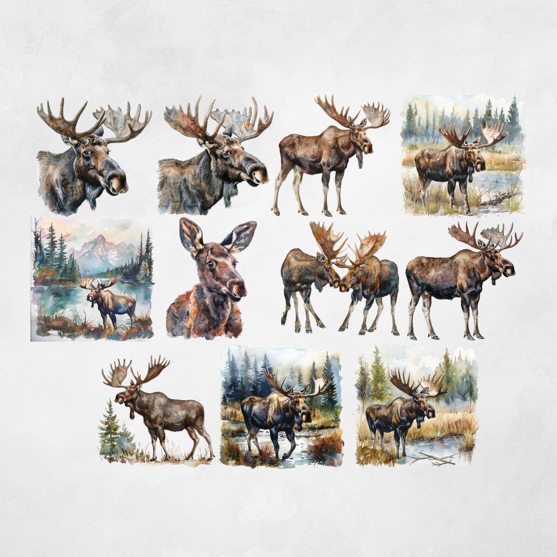 Moose Clipart, Watercolor Clipart, Watercolor Woodland, Watercolor ...