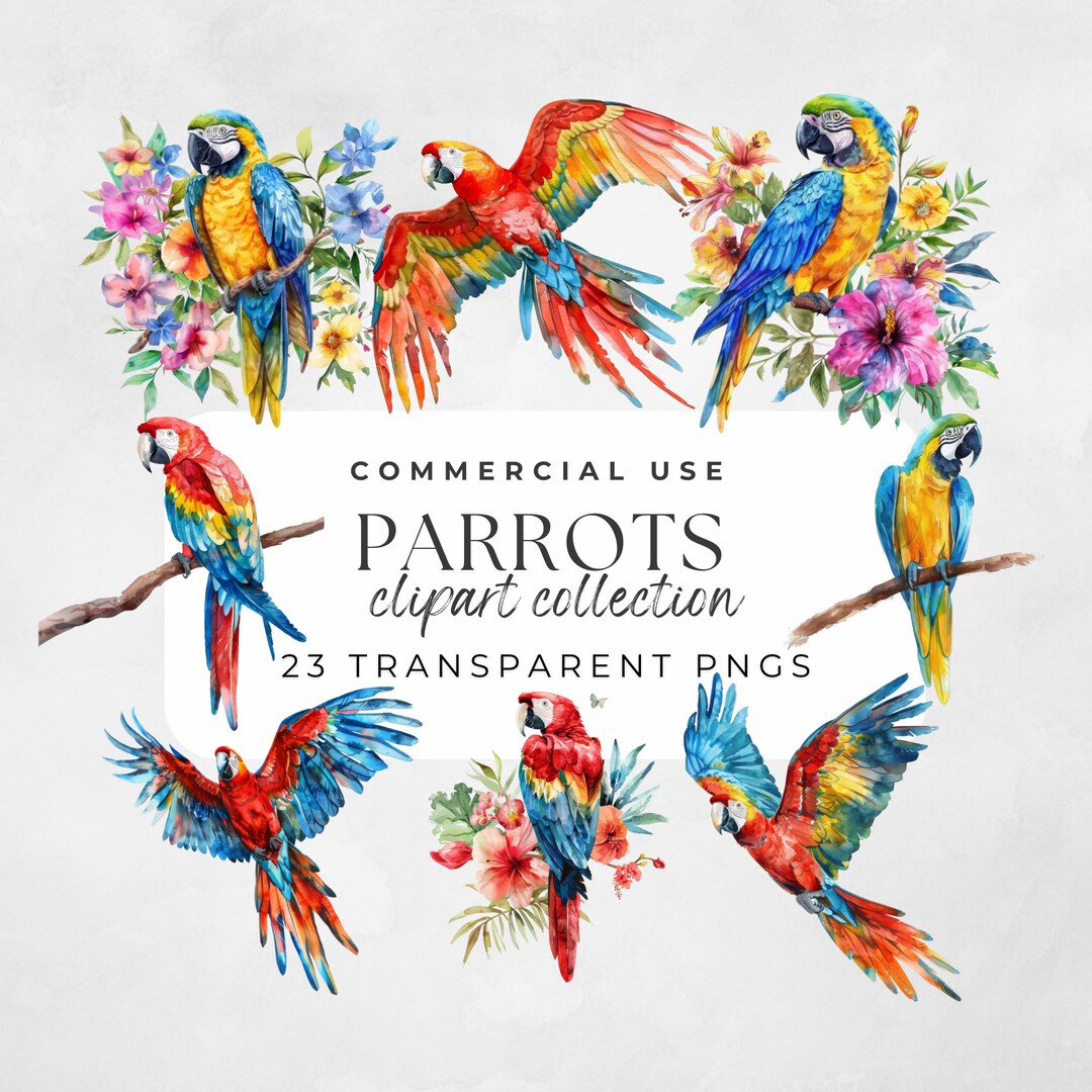 Parrot Clipart, Watercolor Parrot, Tropical Clipart, Cockatoo Clipart ...