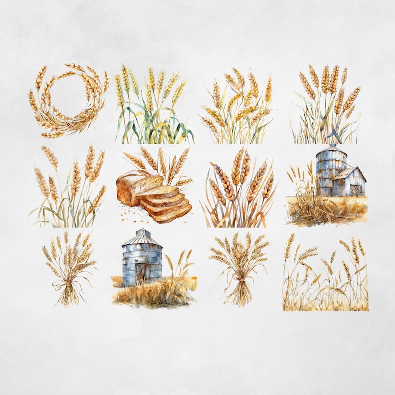 Wheat Clipart, Wheat Silhouette, Wheat Crop, Watercolor Clipart, Wheat ...