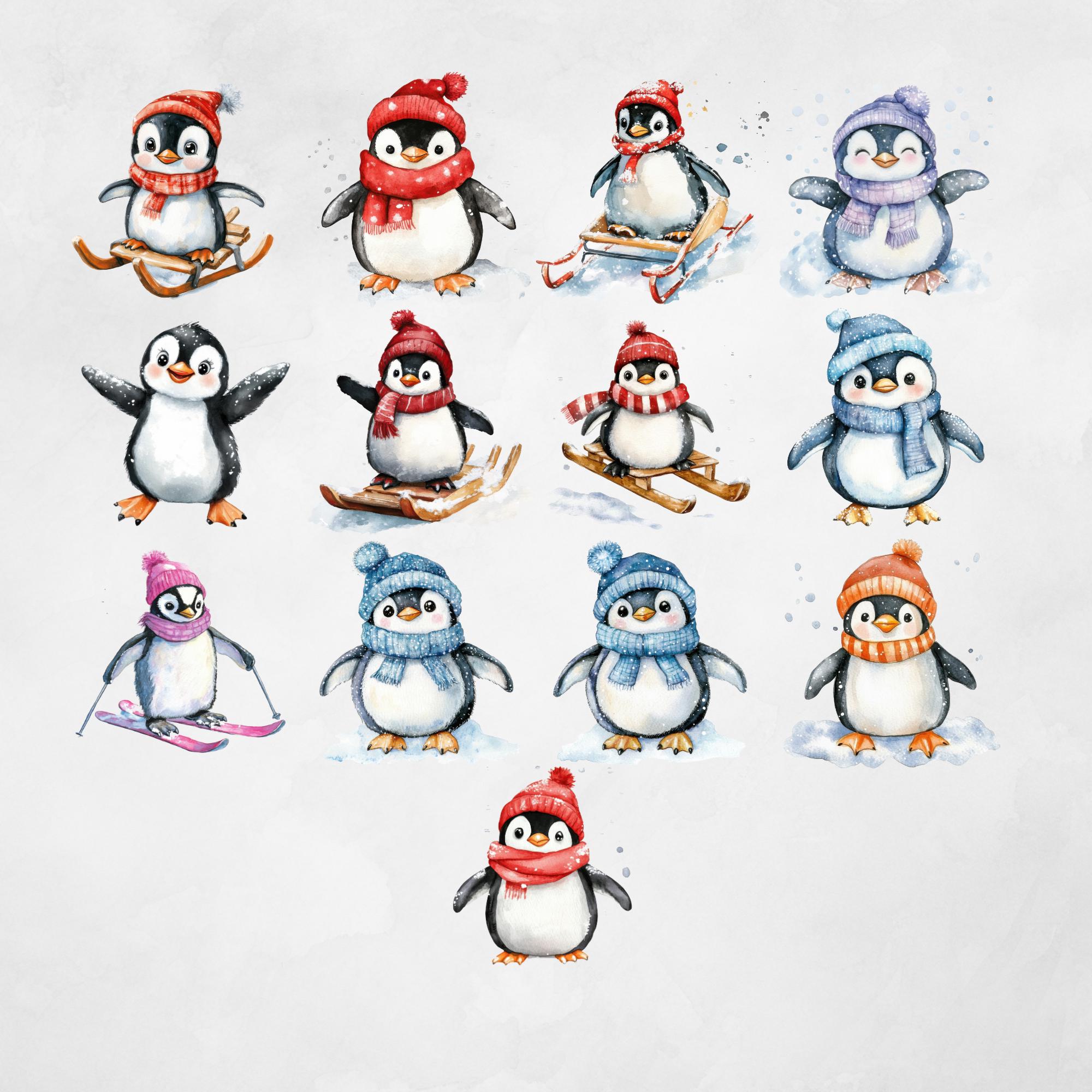Cute Penguin Clipart, Penguin Png, Winter Clipart, Watercolor Penguin ...