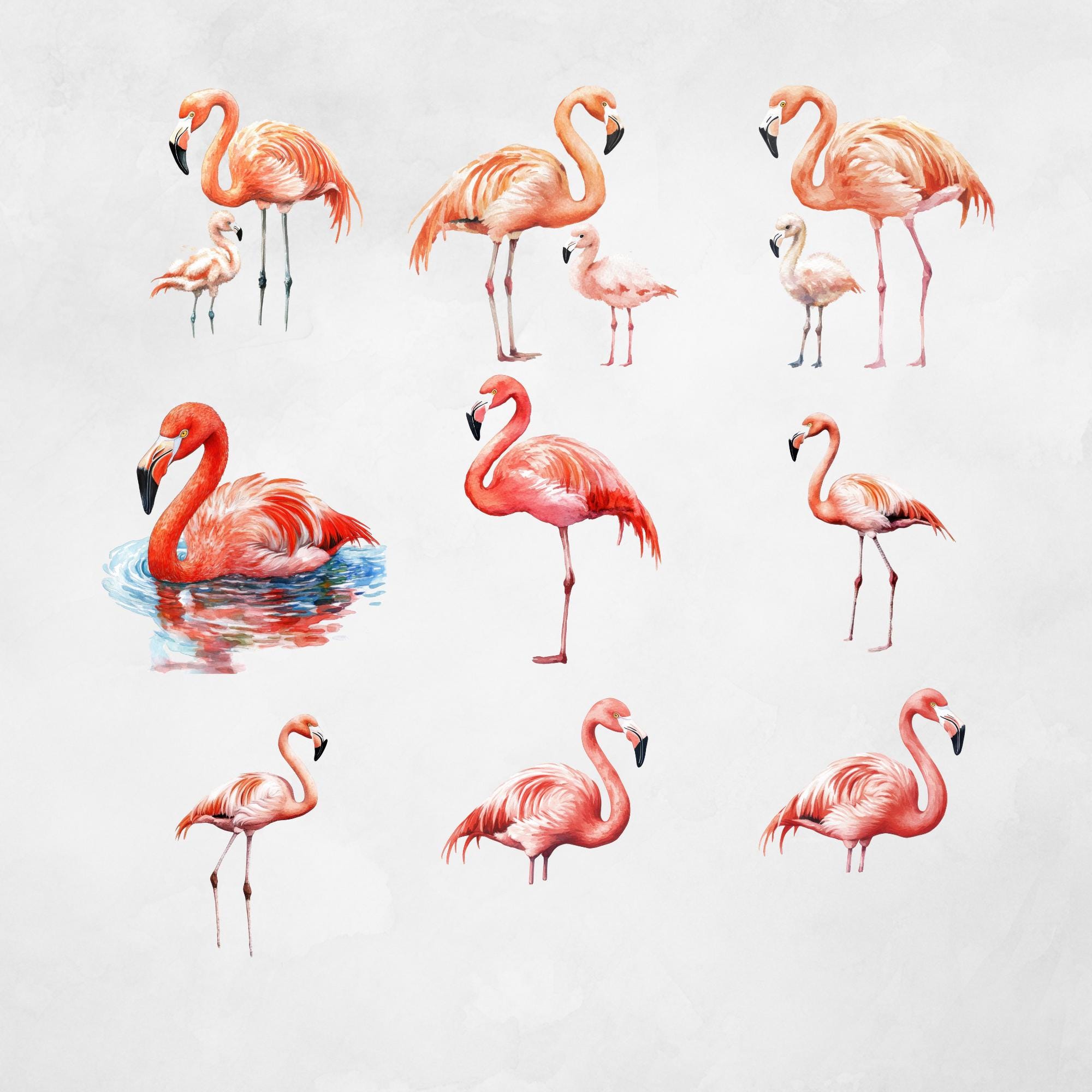 Flamingo Clipart Tropical Birds Pink Flamingo Watercolor Printable Art ...