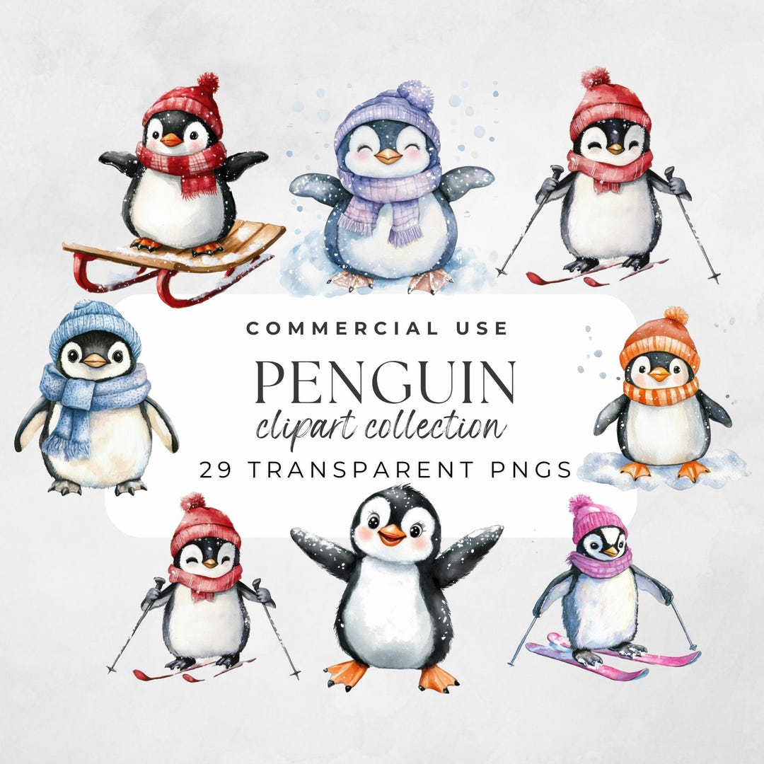 Cute Penguin Clipart, Penguin Png, Winter Clipart, Watercolor Penguin ...