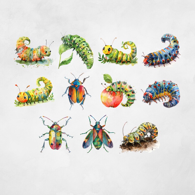 Caterpillar Clipart, Cute Bugs Clipart, Watercolor Bug, Nature Clipart ...