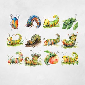 Caterpillar Clipart, Cute Bugs Clipart, Watercolor Bug, Nature Clipart ...