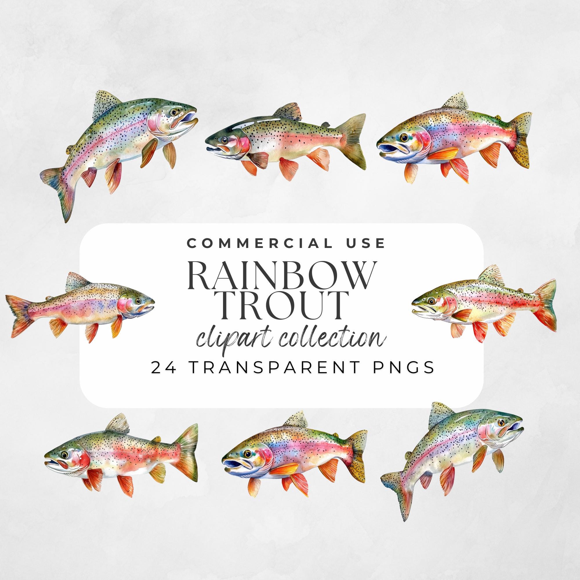 Rainbow Trout Clipart, Trout Fish Png, Rainbow Trout Png, Trout Fish ...