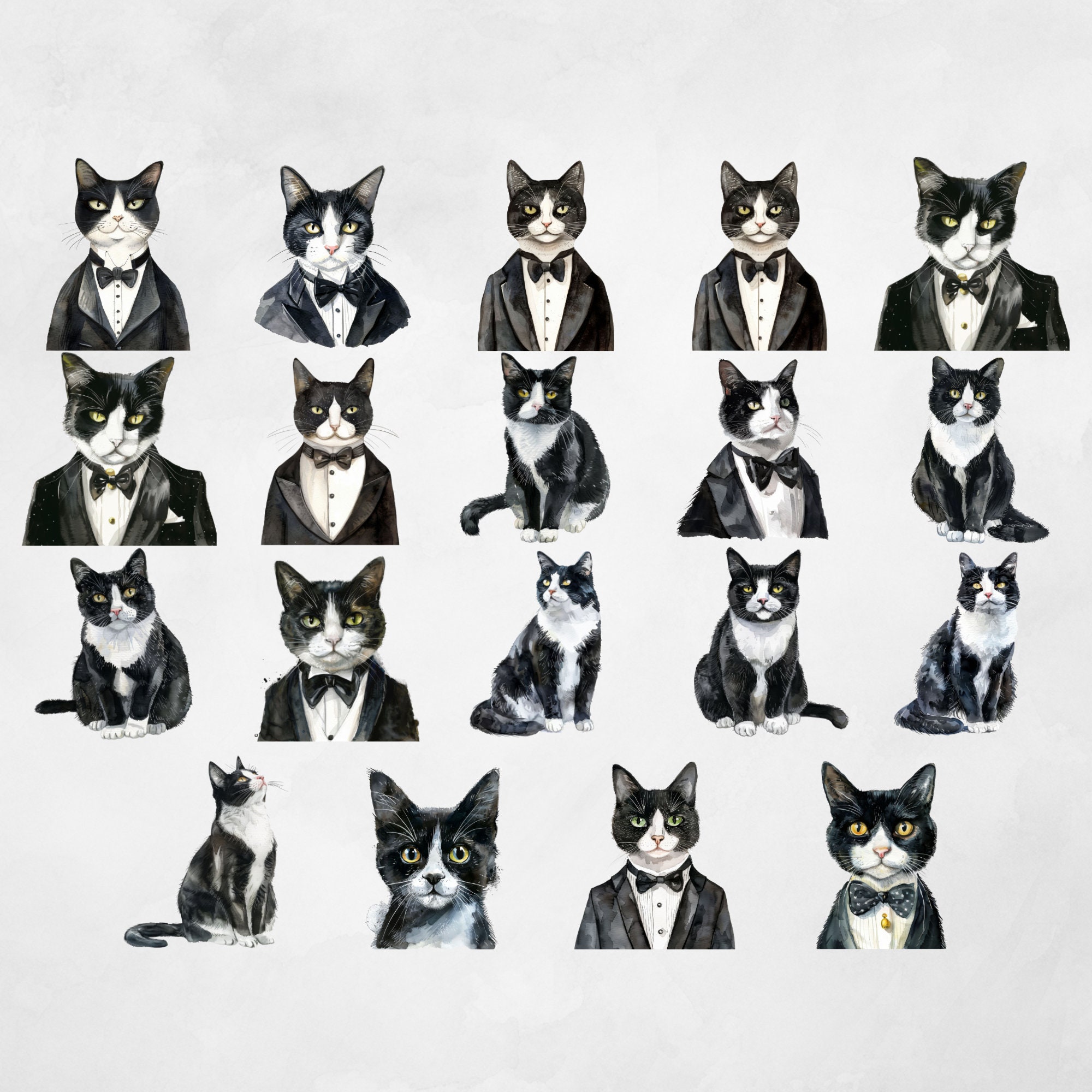 Black and White Cat Tuxedo Cat Clipart Watercolor Cat Kitten Clipart ...