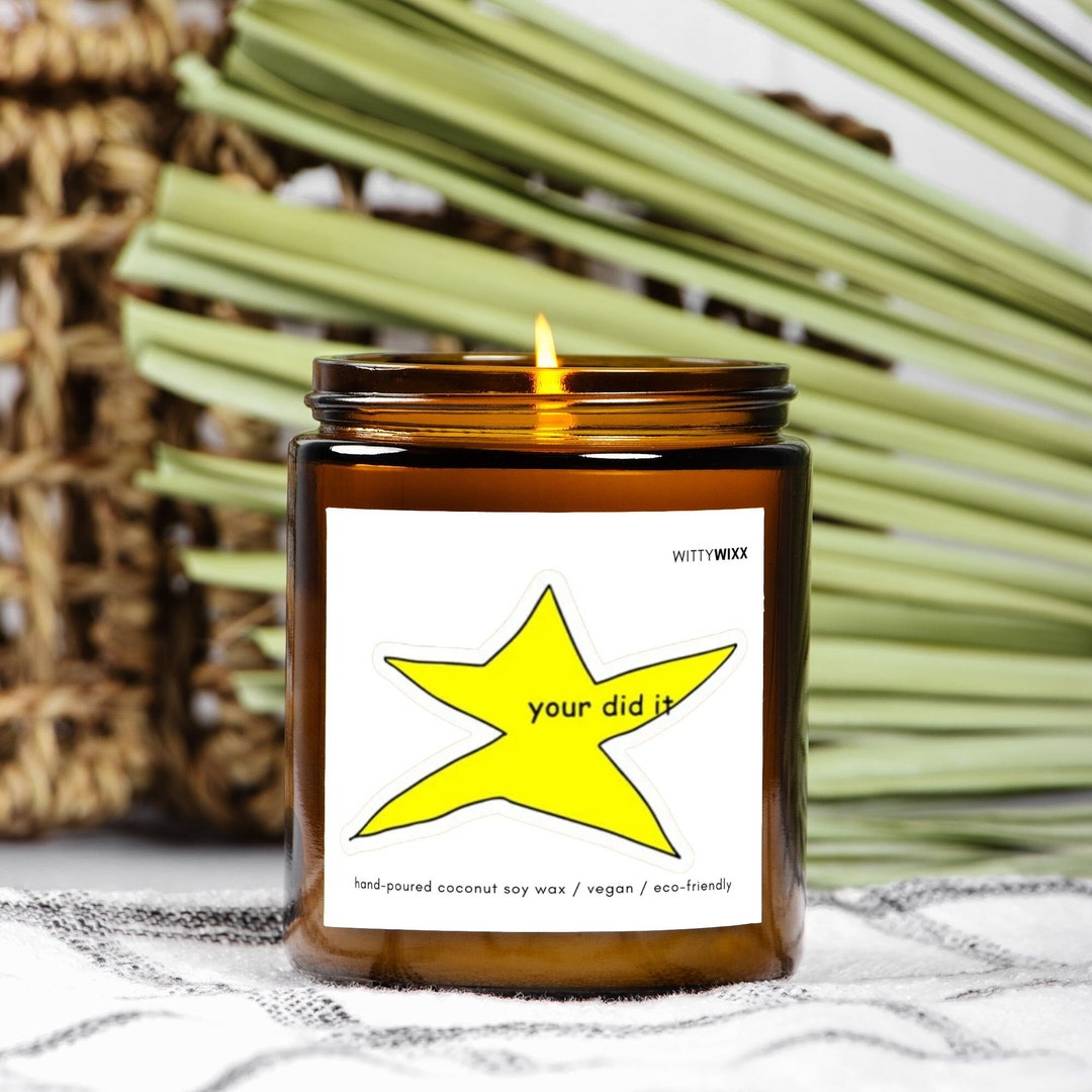 Your Did It Star, Your Did It Meme Candle, Funny Meme Candle, You Did ...