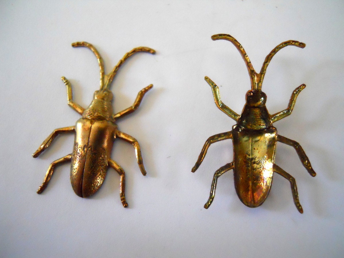 Brass Bug Findings Stamping - Etsy