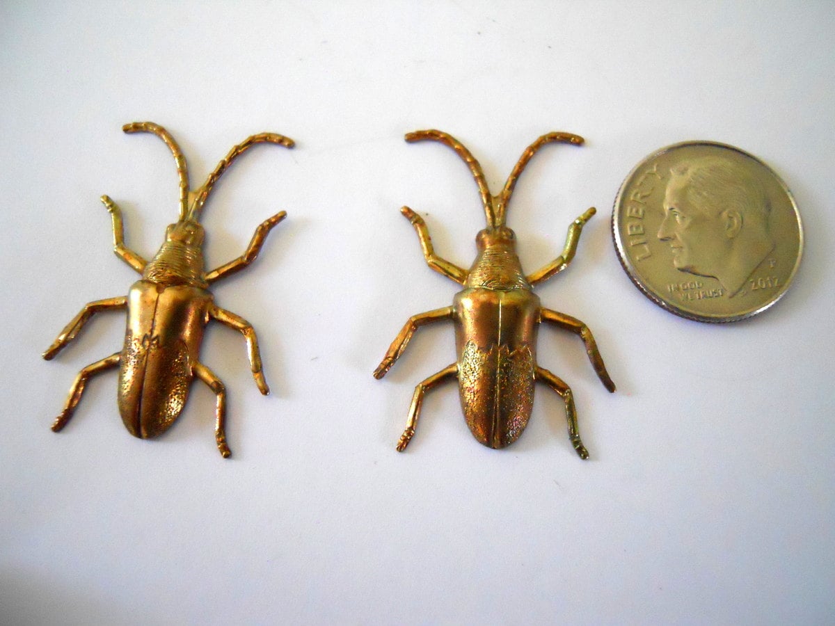 Brass Bug Findings Stamping - Etsy