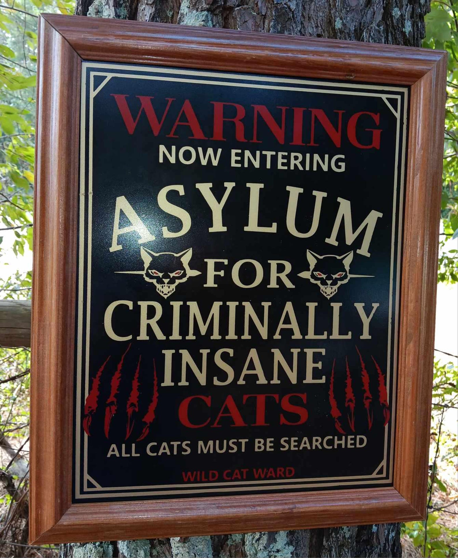 Funny Cat Sign for My Cat Custom Cat Sign Personalized Cat Sign With My ...