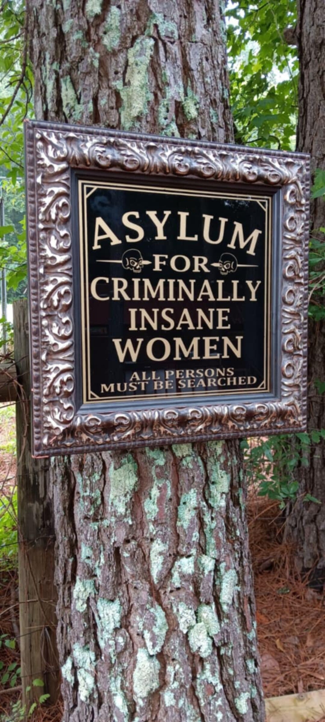Insane Asylum Sign for Disturbed Women Sign for Evaluation Center Sign ...