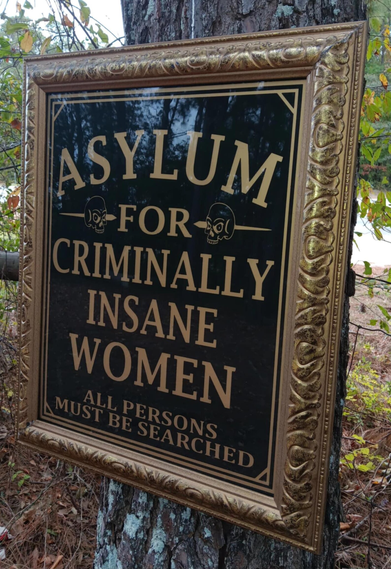 Insane Asylum Picture of Insane Asylum Sign for Insane Woman Sign Who ...