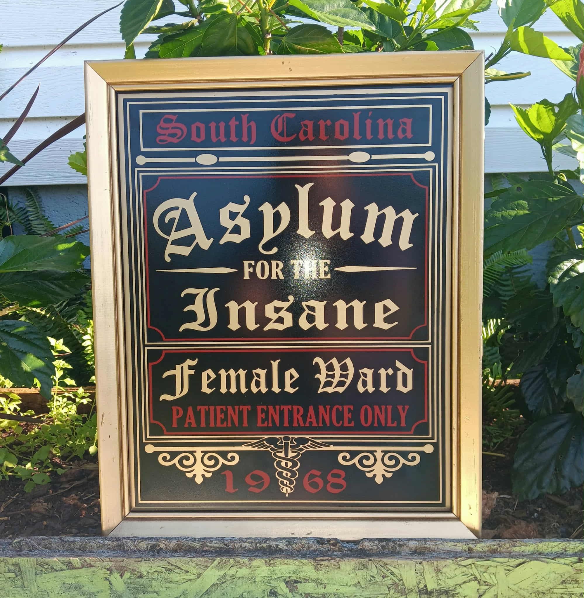 Customizable State Insane Asylum Sign ' Framed Mental Hospital Sign - Etsy