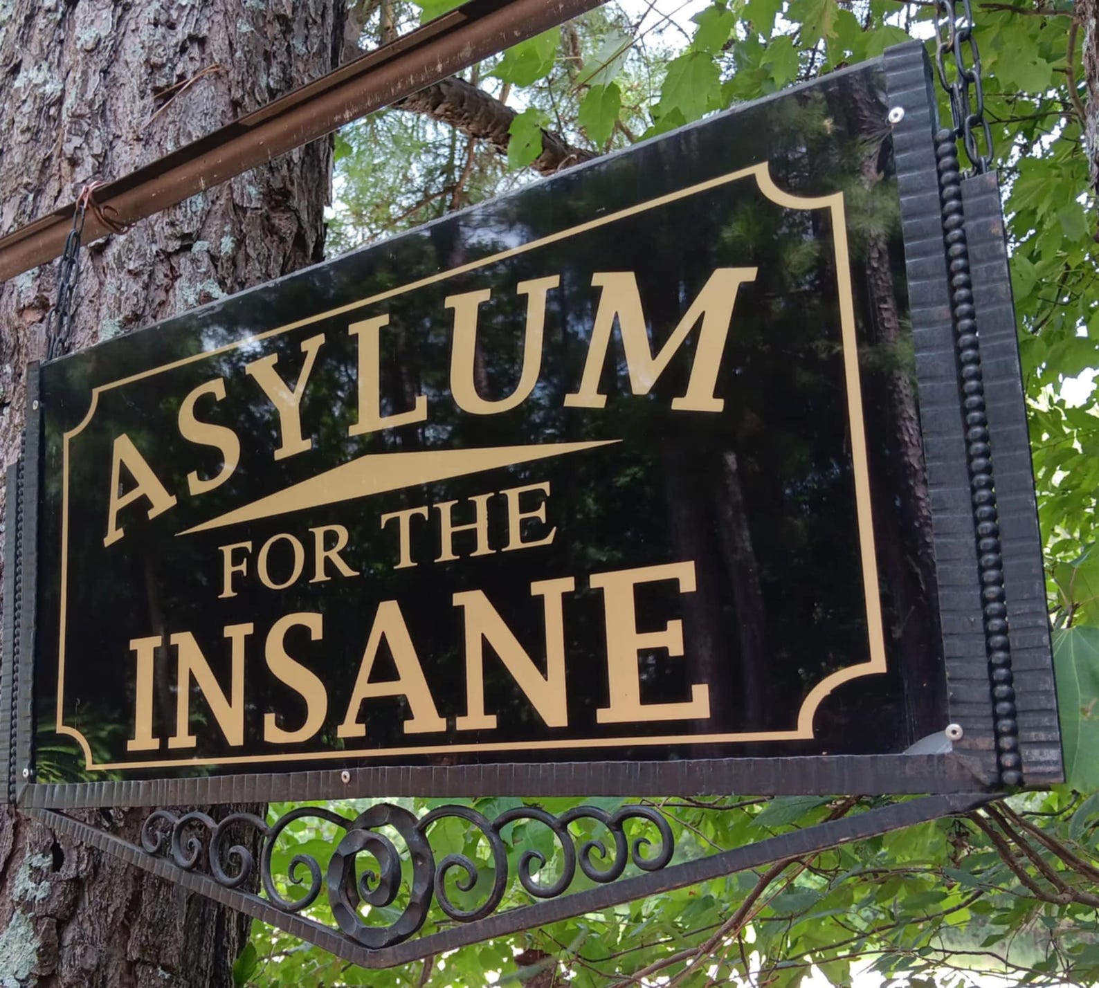 Insane Asylum Sign for Disturbed Woman With Iron Frame Mental Hospital ...