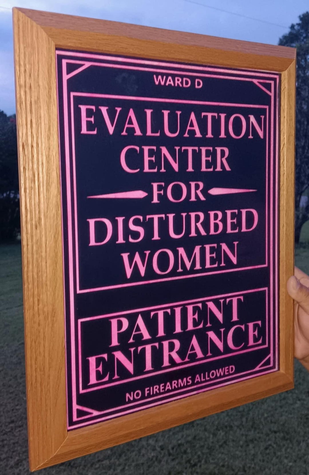 Glow in the Dark Insane Asylum Sign ' Haunted House Prop for Halloween ...