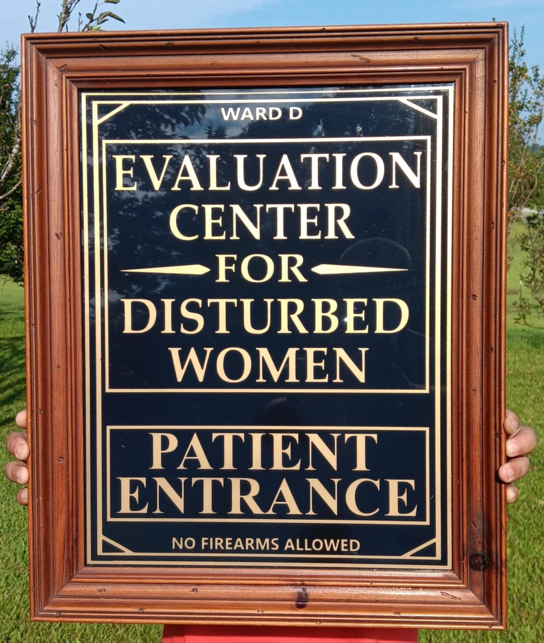 Insane Asylum Sign: Disturbed Woman Gift, Repurposed Frame - Etsy