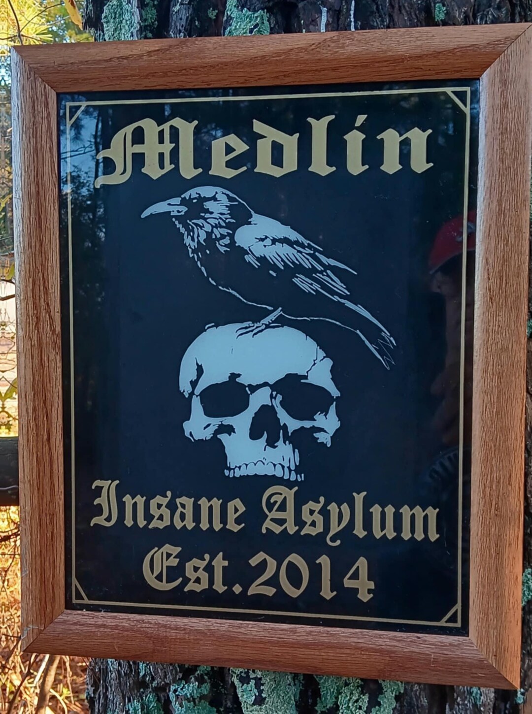 Personalized Insane Asylum Sign: Raven & Skull, Vintage Wood Frame - Etsy