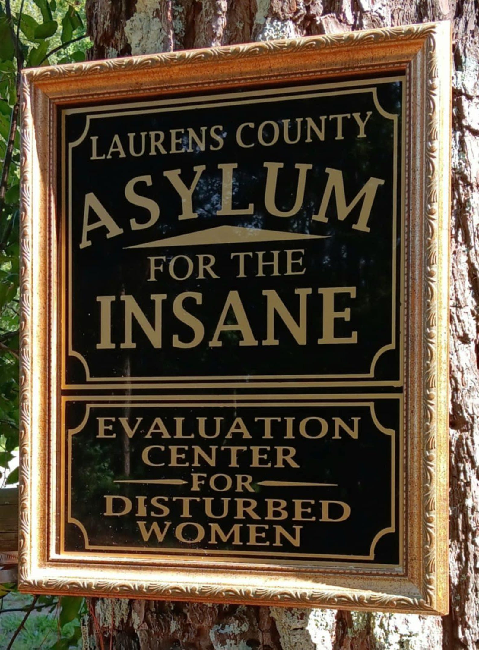Insane Asylum Sign for Insane Woman - Evaluation Center for Disturbed ...