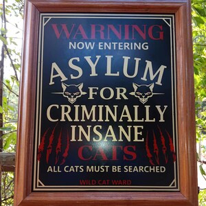 Funny Cat Sign for My Cat Custom Cat Sign Personalized Cat Sign With My ...