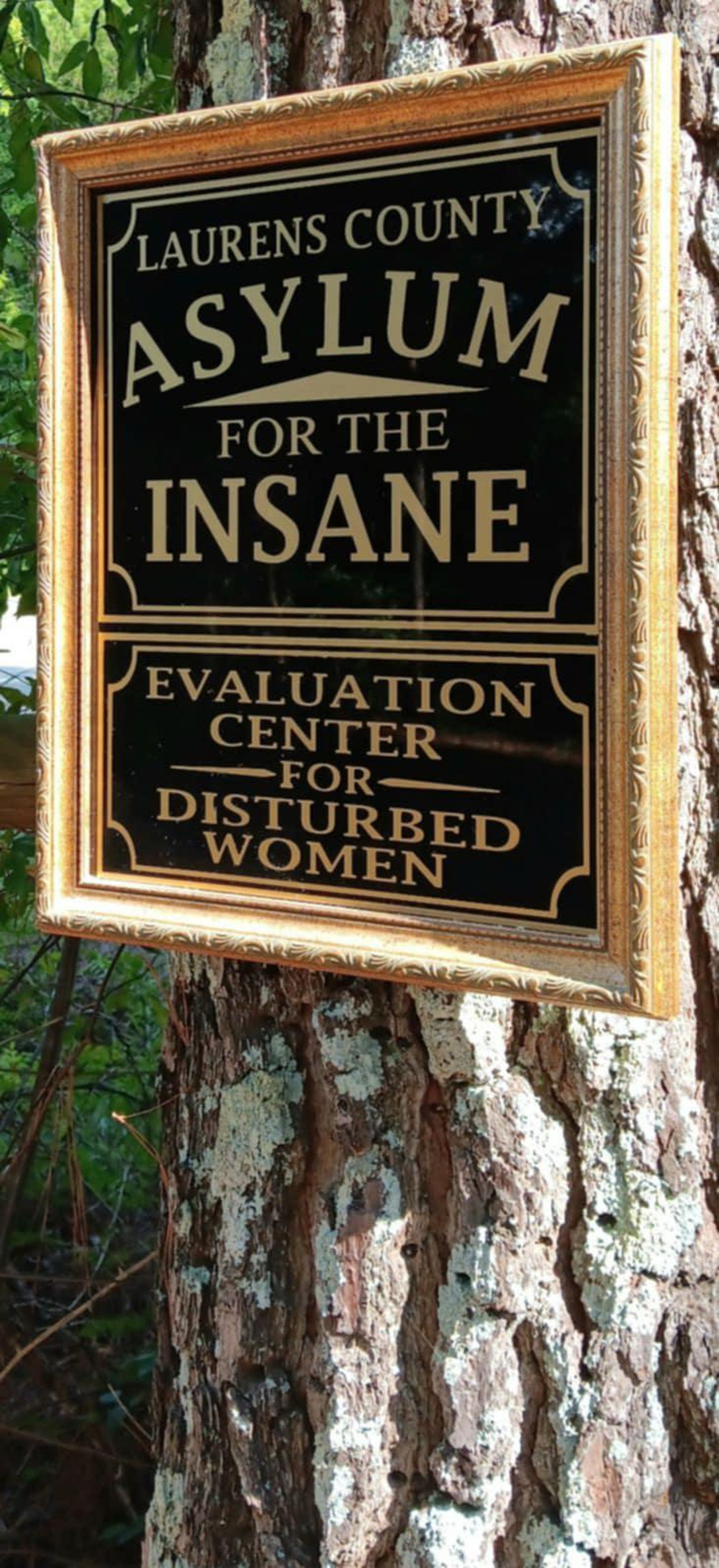 Insane Asylum Sign for Insane Woman - Evaluation Center for Disturbed ...