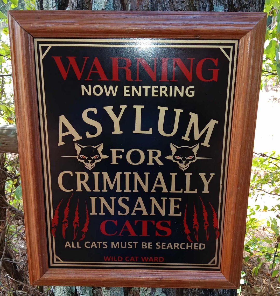 Funny Cat Sign for My Cat - Custom Cat Sign - Personalized Cat Sign ...