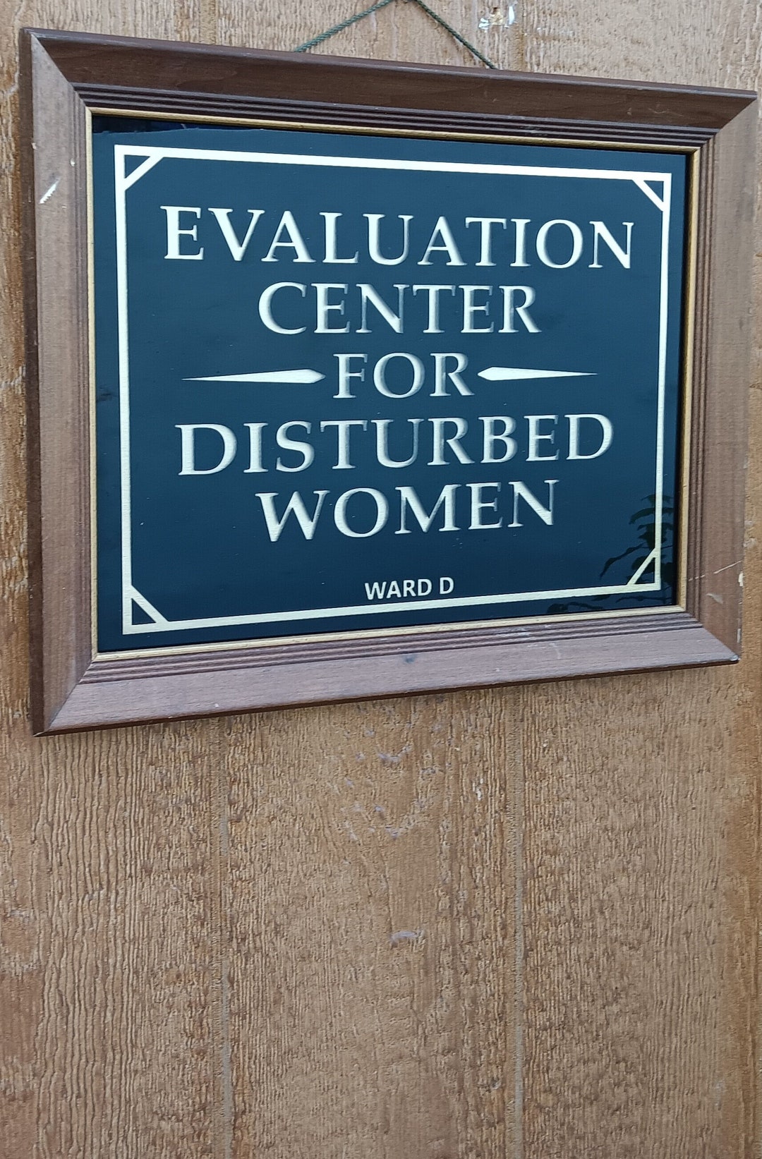 Insane Asylum Sign for Disturbed Women With Gold Lettering for Laughs ...
