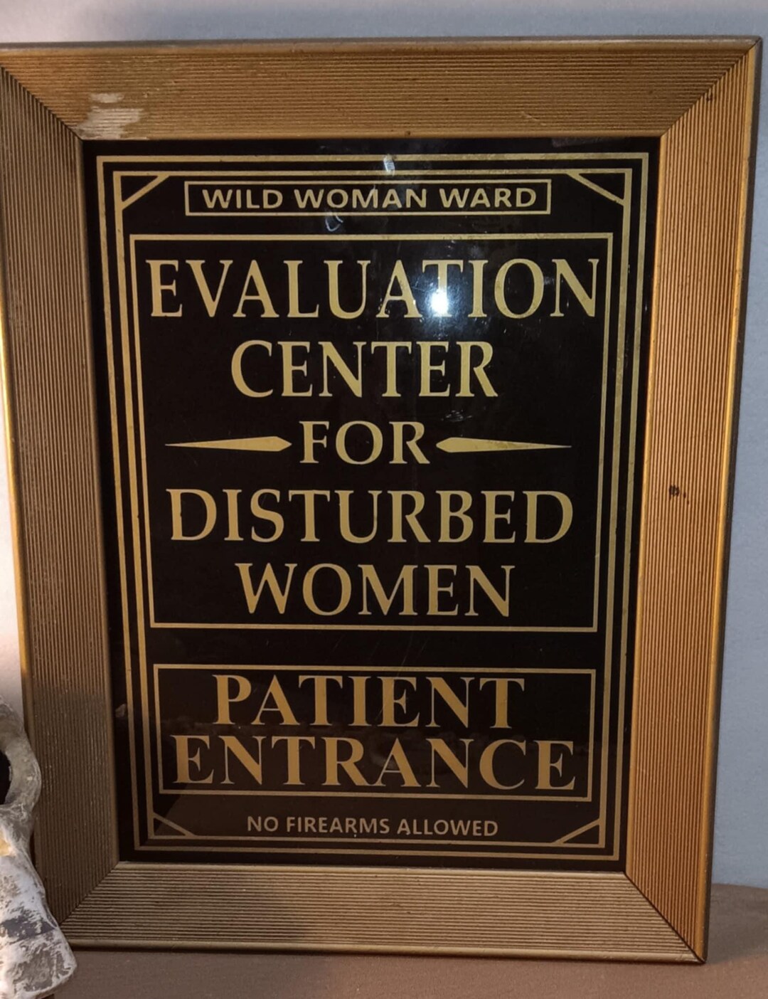Insane Asylum Sign for Disturbed Women ' Evaluation Center for ...